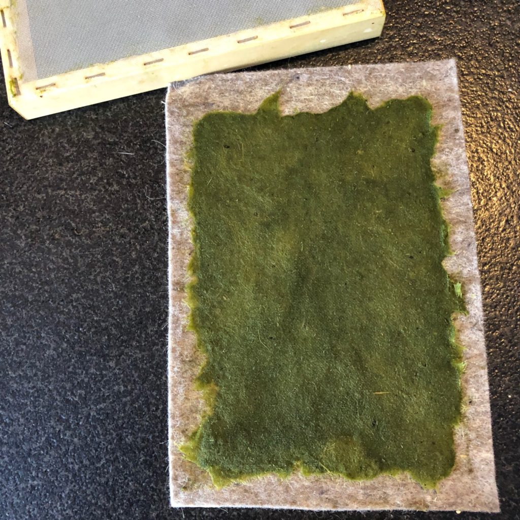 Papier maken van gras - elkedaggroener